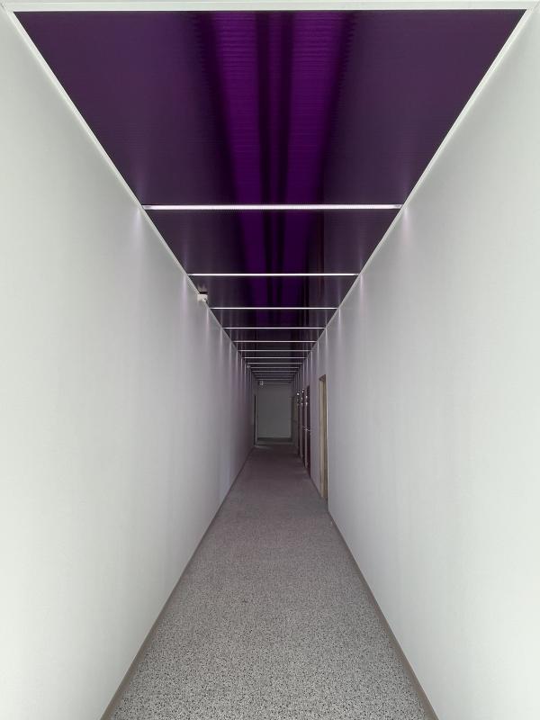 Actalia sensoriel - maîtrise d'oeuvre en Normandie